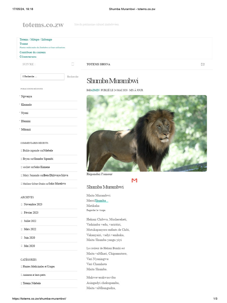 Shumba Murambwi - Totems - Co.zw | PDF