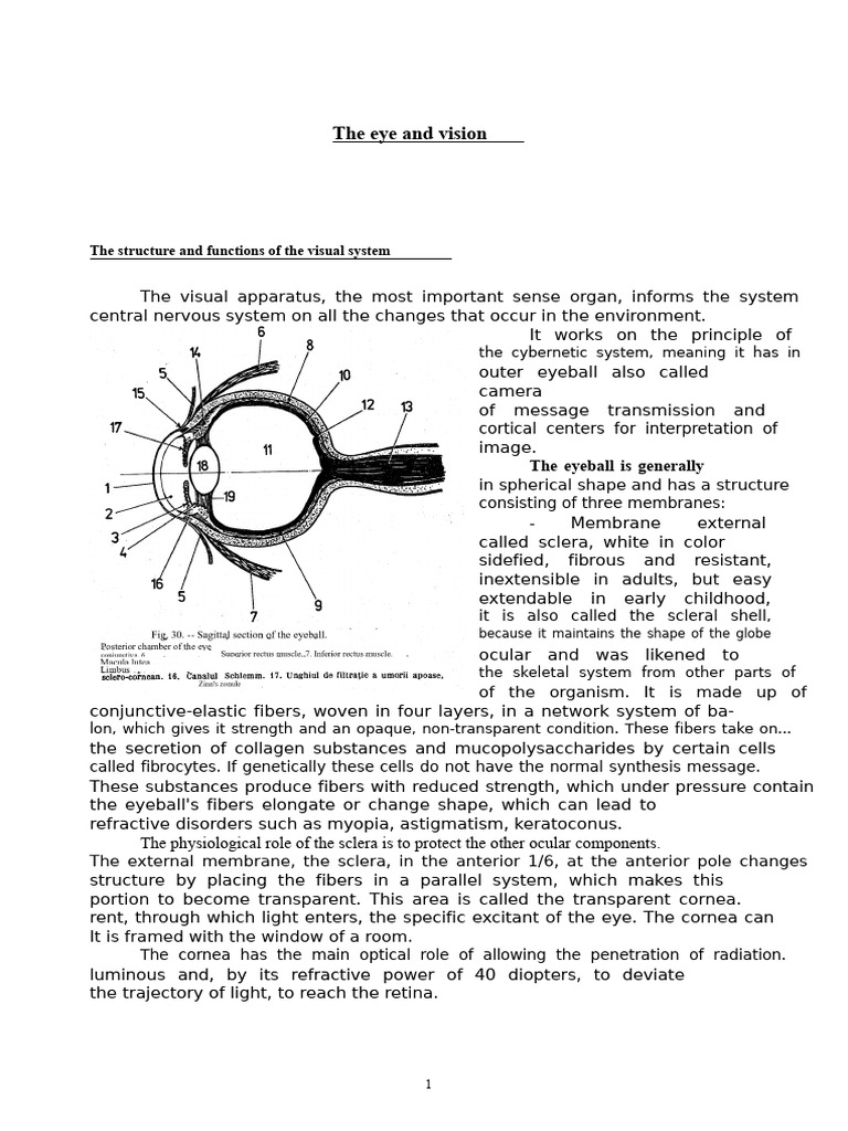 Anatomy and Function of the Eye | PDF | Human Eye | Eye