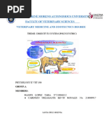 Monogastric vs Polygastric Digestive Systems | PDF | Digestion | Ruminant