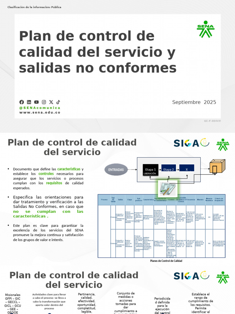 Control de Calidad y Salidas No Conformes | PDF | Aprendizaje