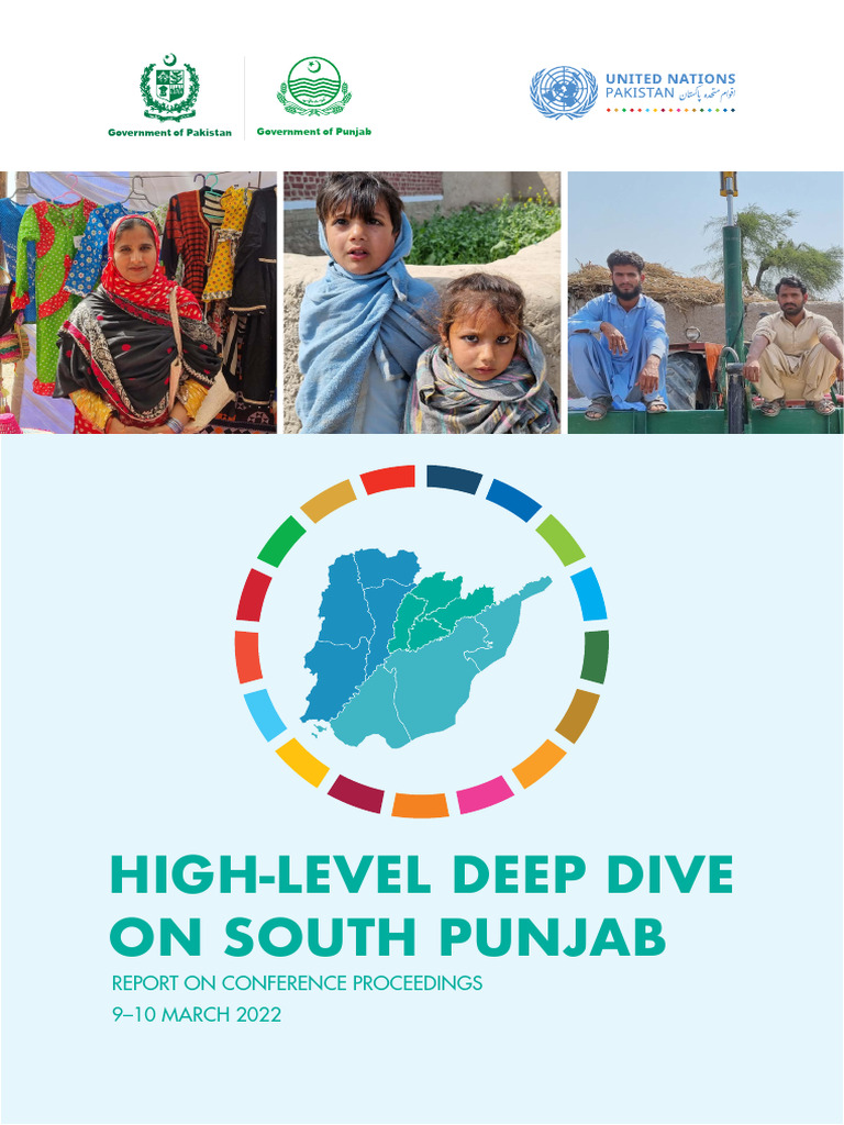 South Punjab Deep Dive Report - Final | PDF | Gender Equality | Gender ...