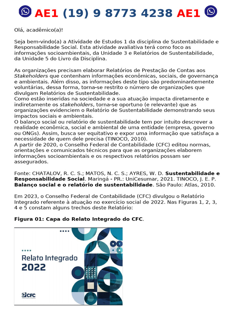 AE1 AE1: Stakeholders | PDF | Contabilidade | Sustentabilidade