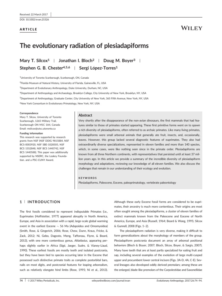 Evolutionary Anthropology - 2017 - Silcox - The Evolutionary Radiation ...