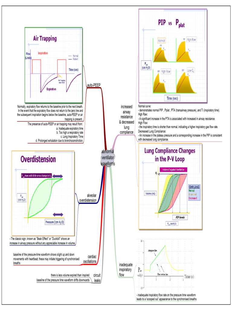 Abnormal Ventilator Waveform Analysis | PDF | Exhalation | Lung