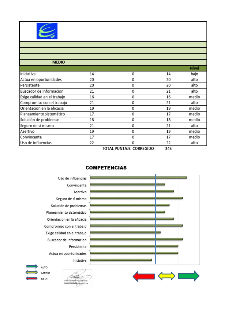 Formato Calificar Test Competencias Laborales Maria Alejandra Parrado | PDF