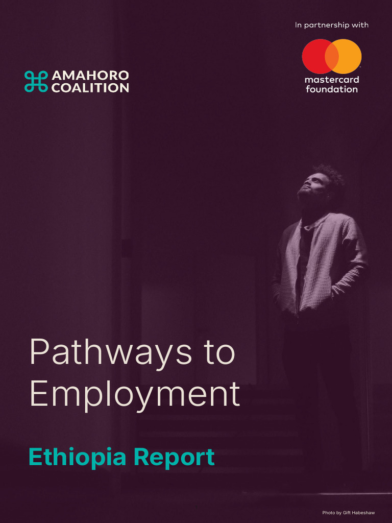Employment Pathways for Refugees in Ethiopia | PDF | Refugee | United ...