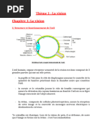 Anatomie de la Conjonctive Oculaire | PDF | Cornée | Épithélium