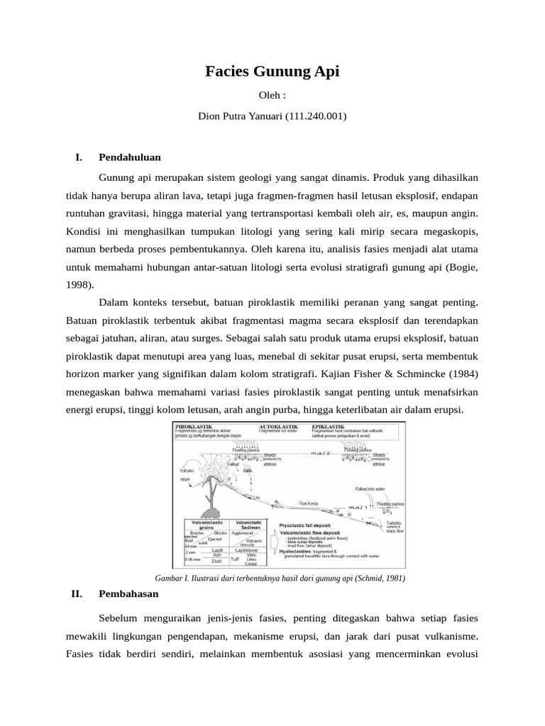 Analisis Fasies Gunung Api dan Piroklastik | PDF