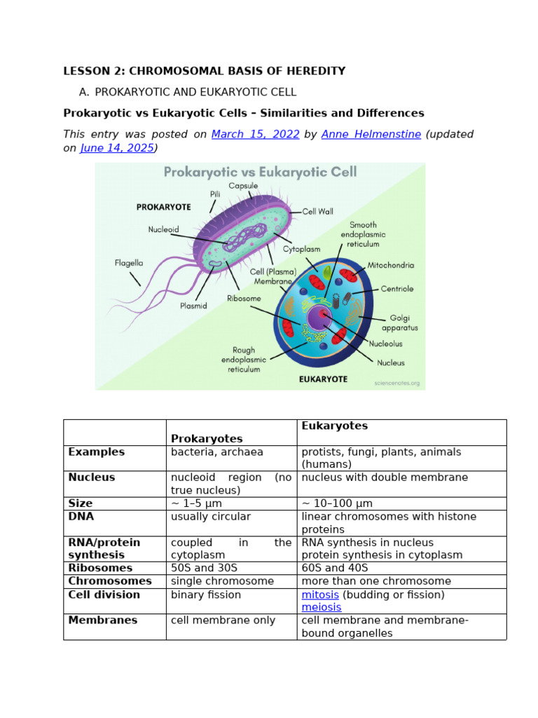 Lesson-2-Chromosomal-Basis-Genetics For Agriculture | PDF | Meiosis | Mitosis