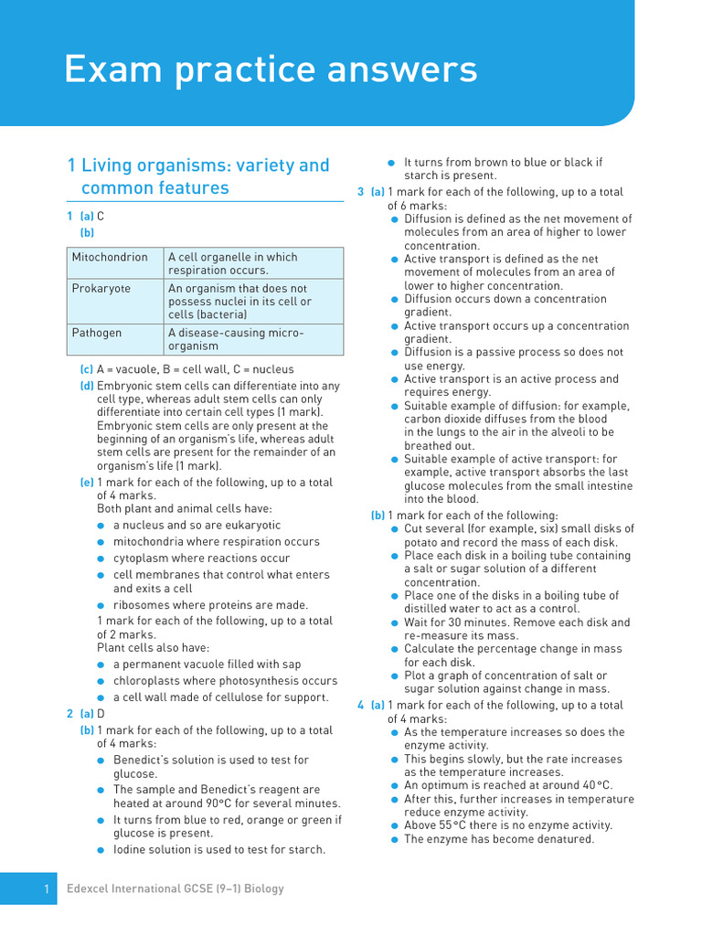 Edexcel IGCSE Biology Study Guide | PDF | Nervous System | Central ...