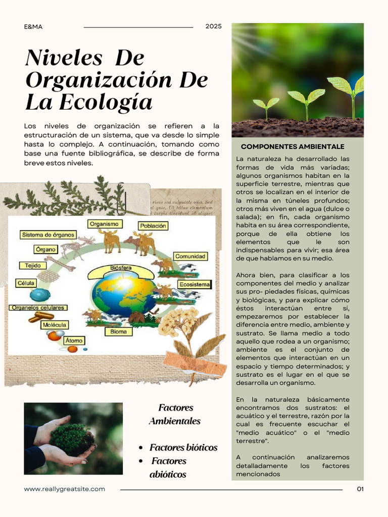 Tema 2 Ecologia | PDF | Organismos | Ecología