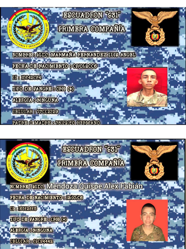 1ra Copañia Cardex | PDF