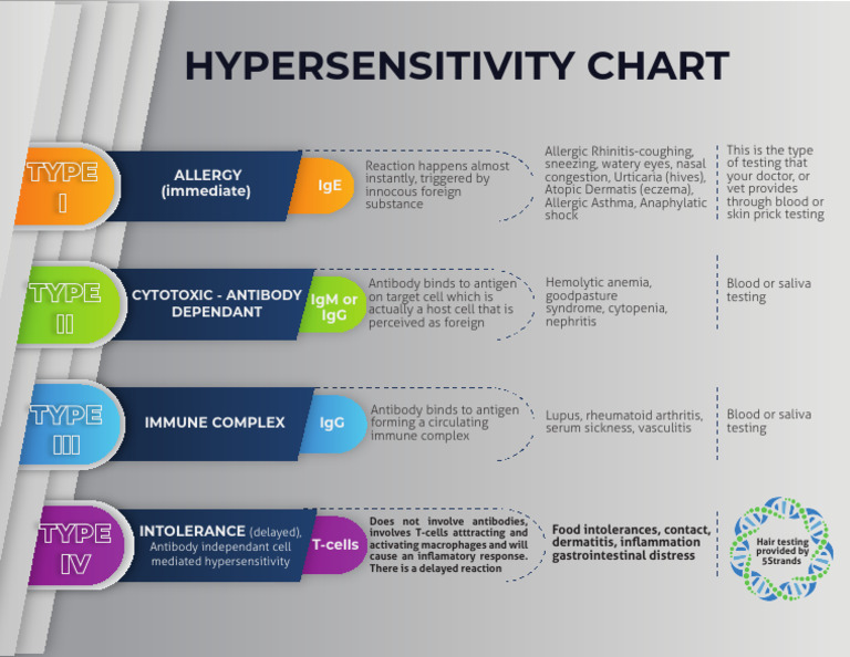 Hypersensitivity Chart Revised Letra Negra 1 | PDF