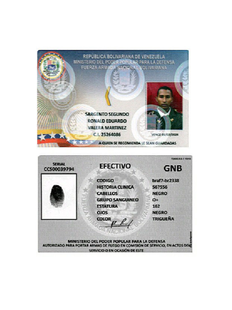 Documentos A Imprimir | PDF