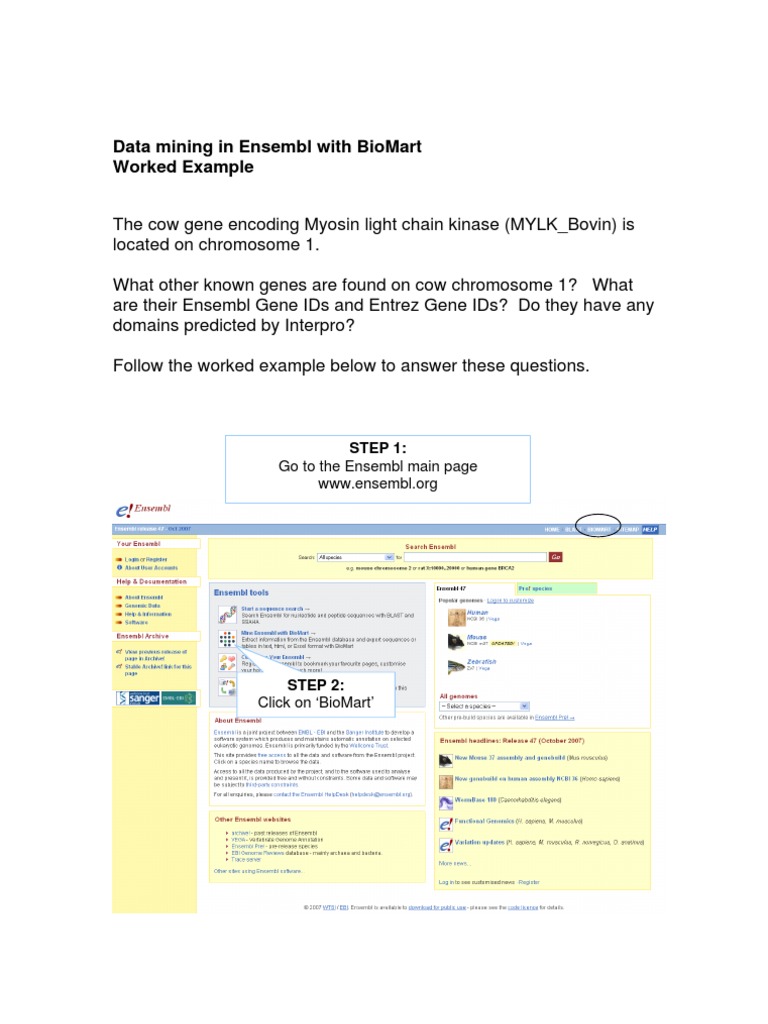 Worked Example Biomart Ensembl Tutorial Pdf Single Nucleotide Polymorphism Gene