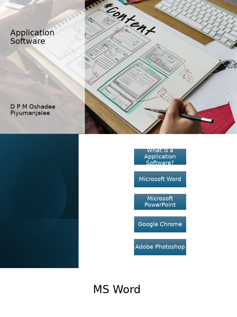 Application Software | PDF