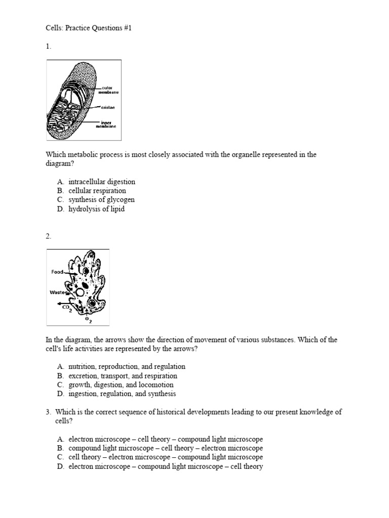 Practice Questions 1 Cells | PDF | Cell (Biology) | Cellular Respiration