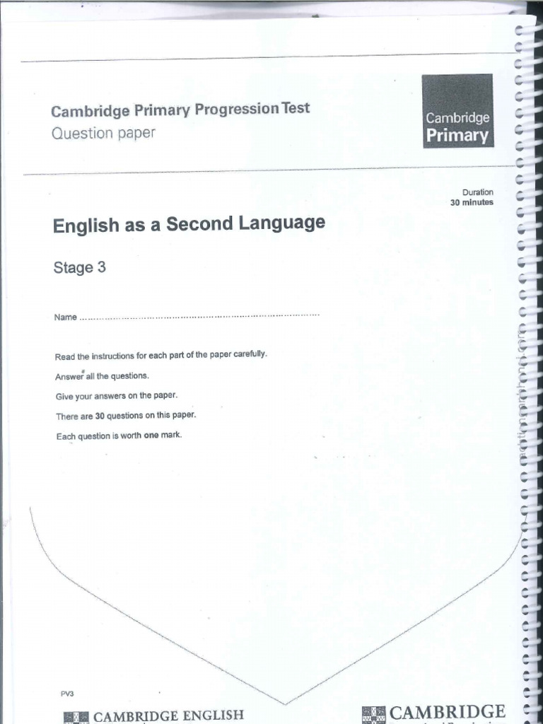 Progress Test Level 3 | PDF