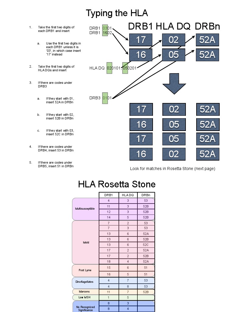 HLA Typing Guide for Clinicians | PDF | Human Leukocyte Antigen | Genetics