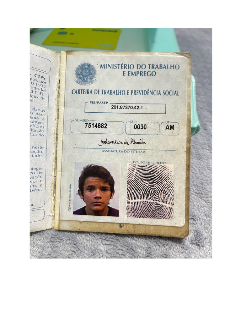 Pis | PDF