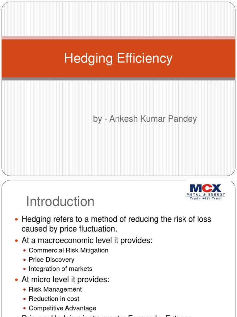 Hedging Efficiency and Methods | PDF | Vector Autoregression | Hedge ...