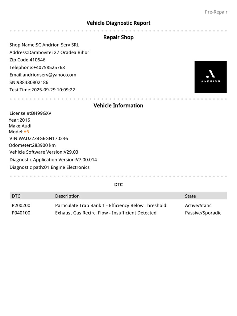 Audi WAUZZZ4G6GN170236 DTC 20250929100922 | PDF