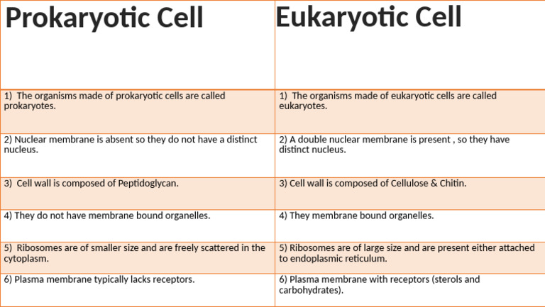 Prokaryotic vs Eukaryotic Cells Explained | PDF