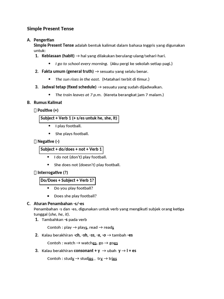 Understanding Simple Present Tense | PDF