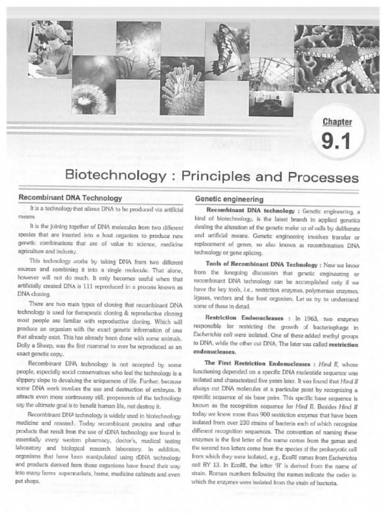 Selfstudys Com File | PDF