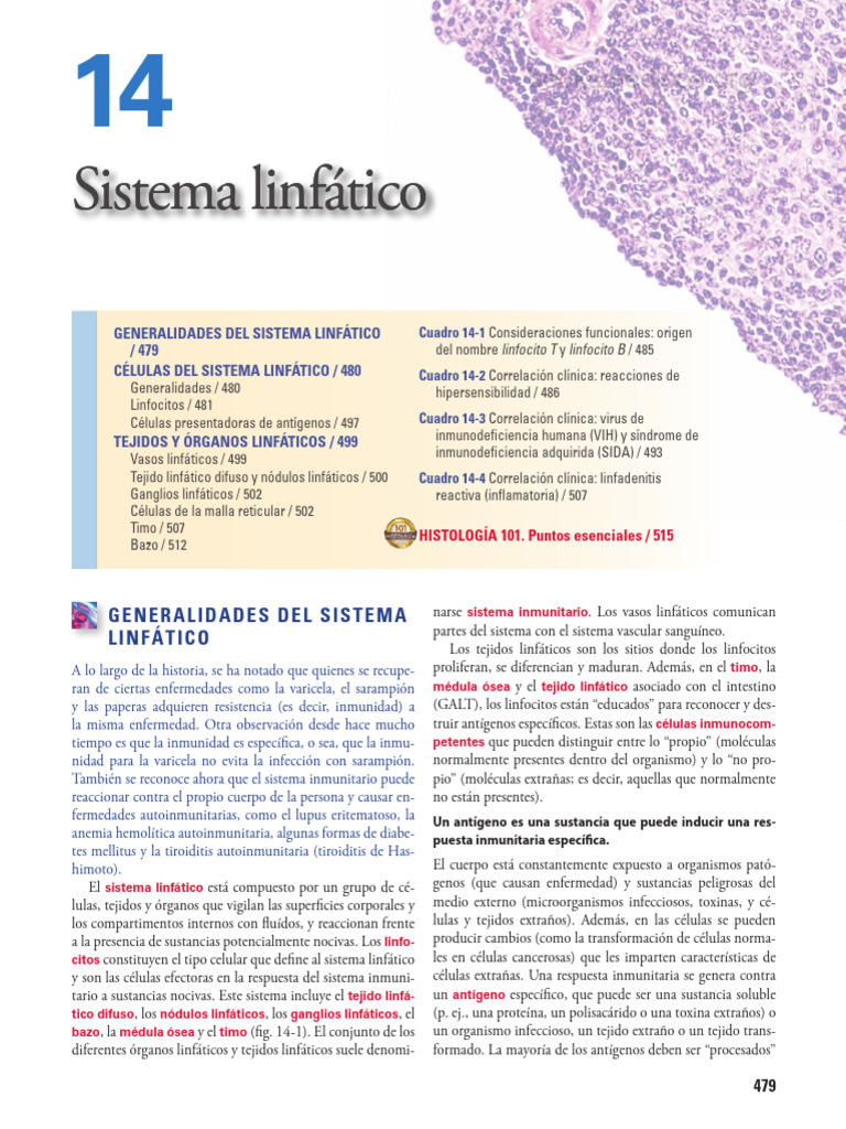 Cap 14 de Ross | PDF | Linfocitos | Sistema inmune