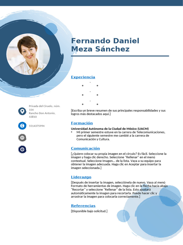 CV Daniel | PDF
