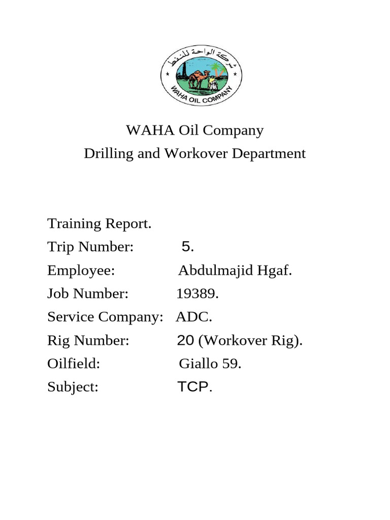 Training Report 5 | PDF