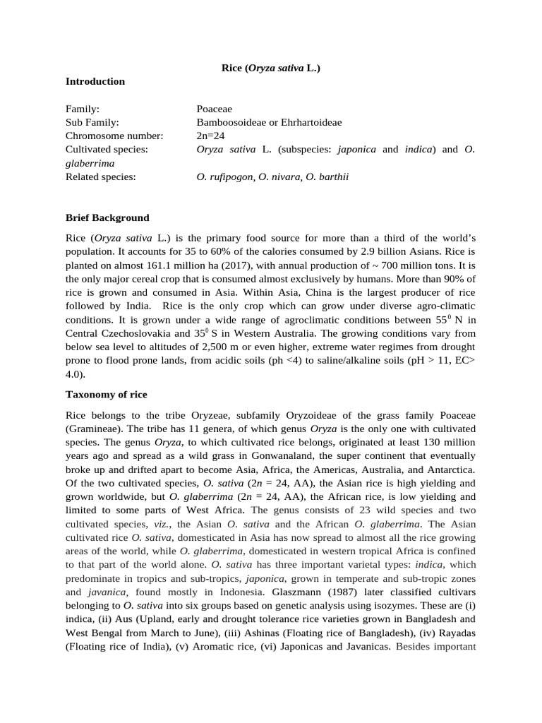 Comprehensive Overview of Rice Varieties | PDF | Rice | Plant Breeding