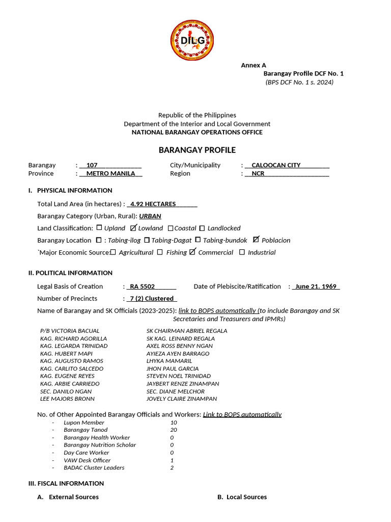 Barangay Profile Format 2025 | PDF