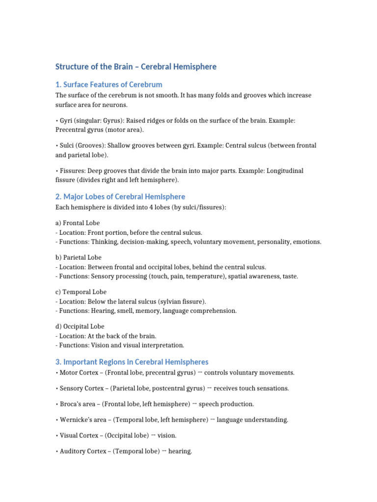 Brain Cerebral Hemisphere | PDF