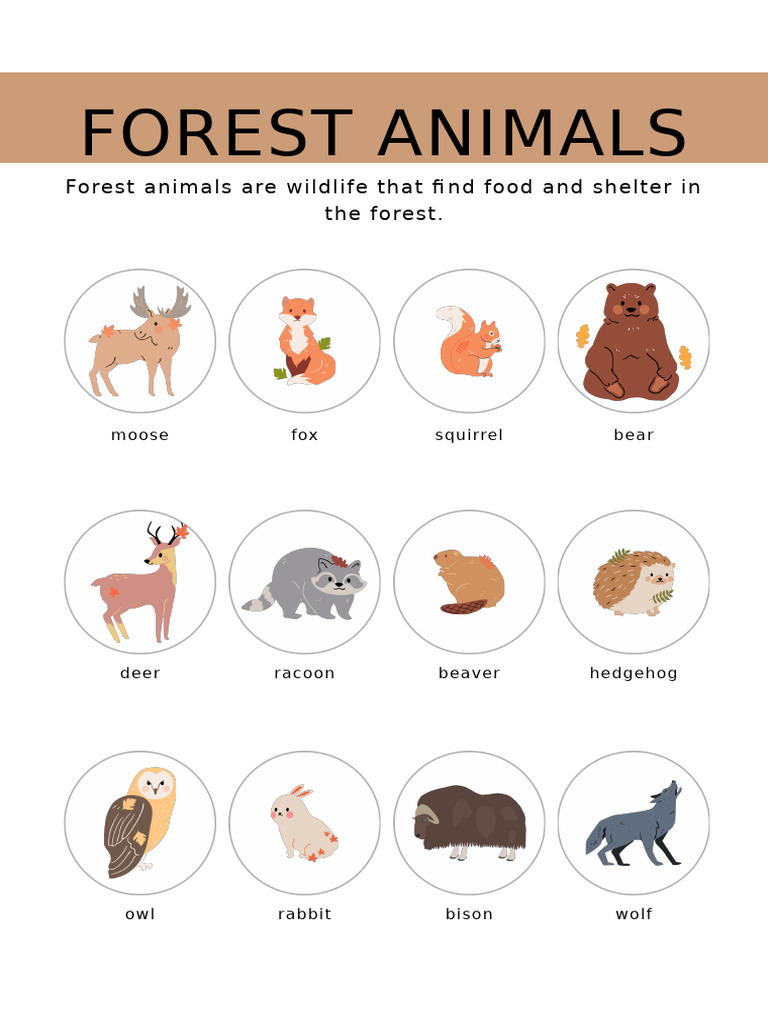 Speech Therapy Poster Forest Animals Habitat | PDF