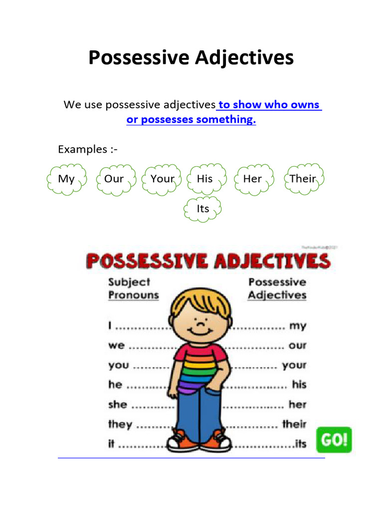 Possessive Adjectives Notes | PDF
