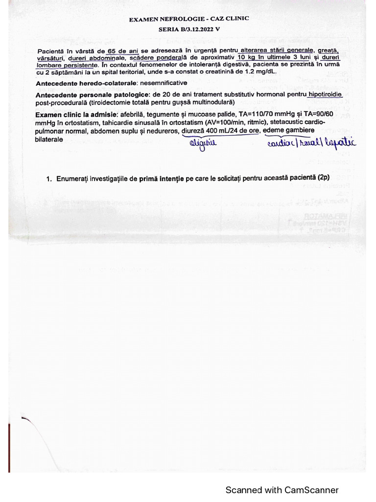 Model 2 Examen Practic | PDF