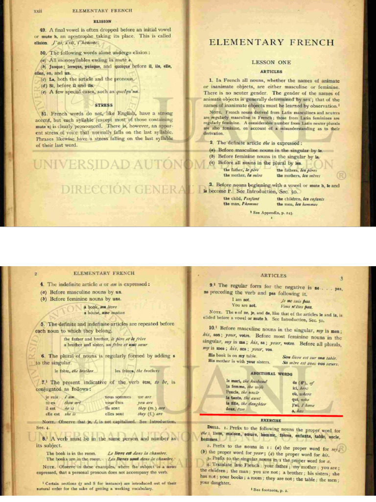 23-09-2025 French and English Practice Activities | PDF