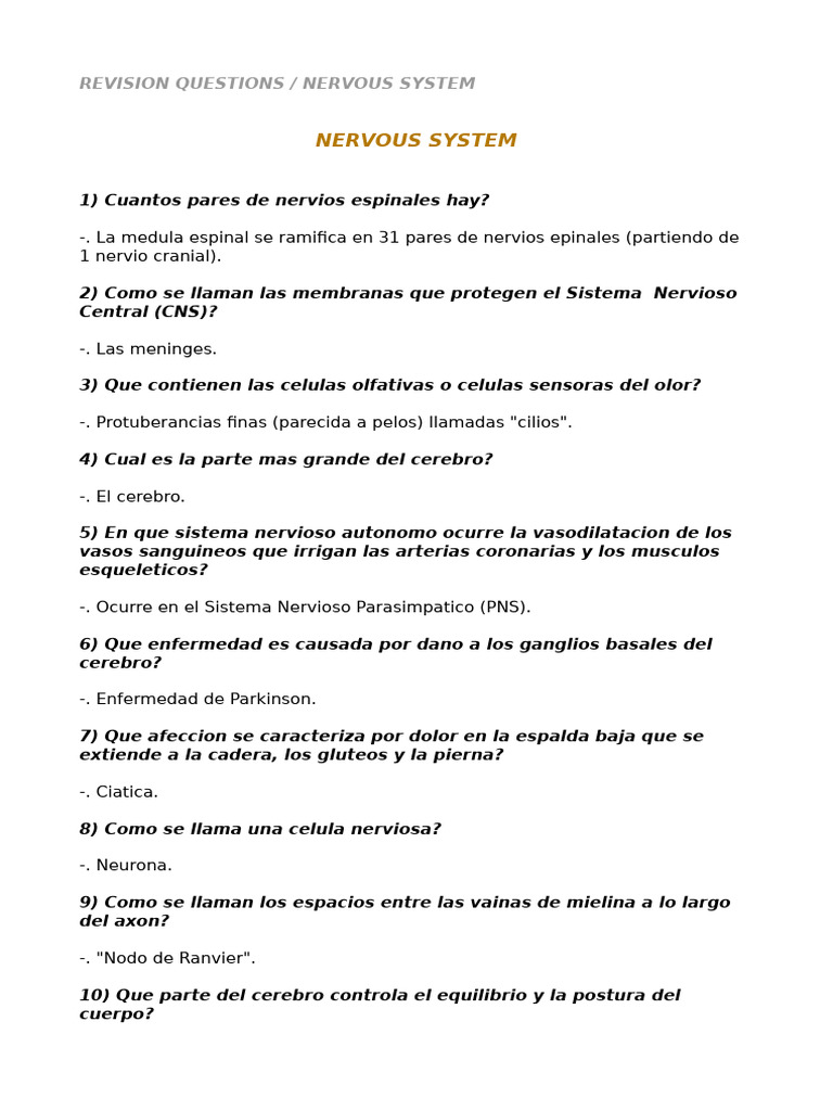 Revision Questions - Nervous System | PDF | Nervio | Cerebro