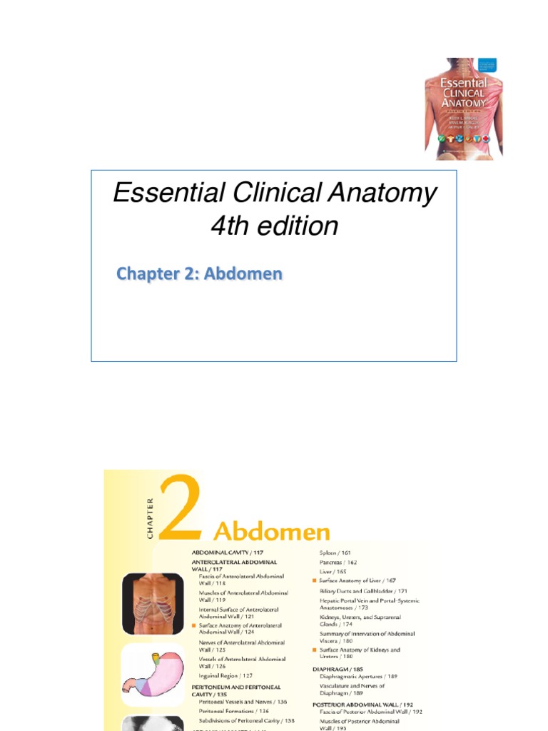 Essential Clinical Anatomy 4th Edition" | PDF | Abdomen | Human Anatomy