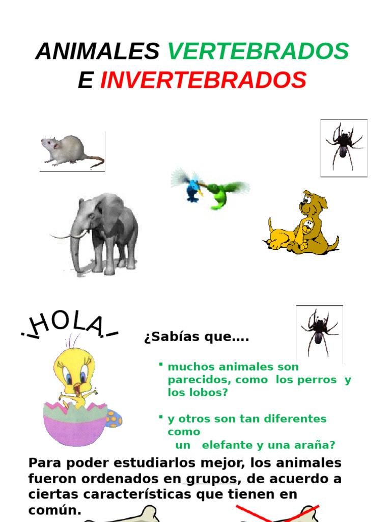 Power Animales Ver e Invet | PDF