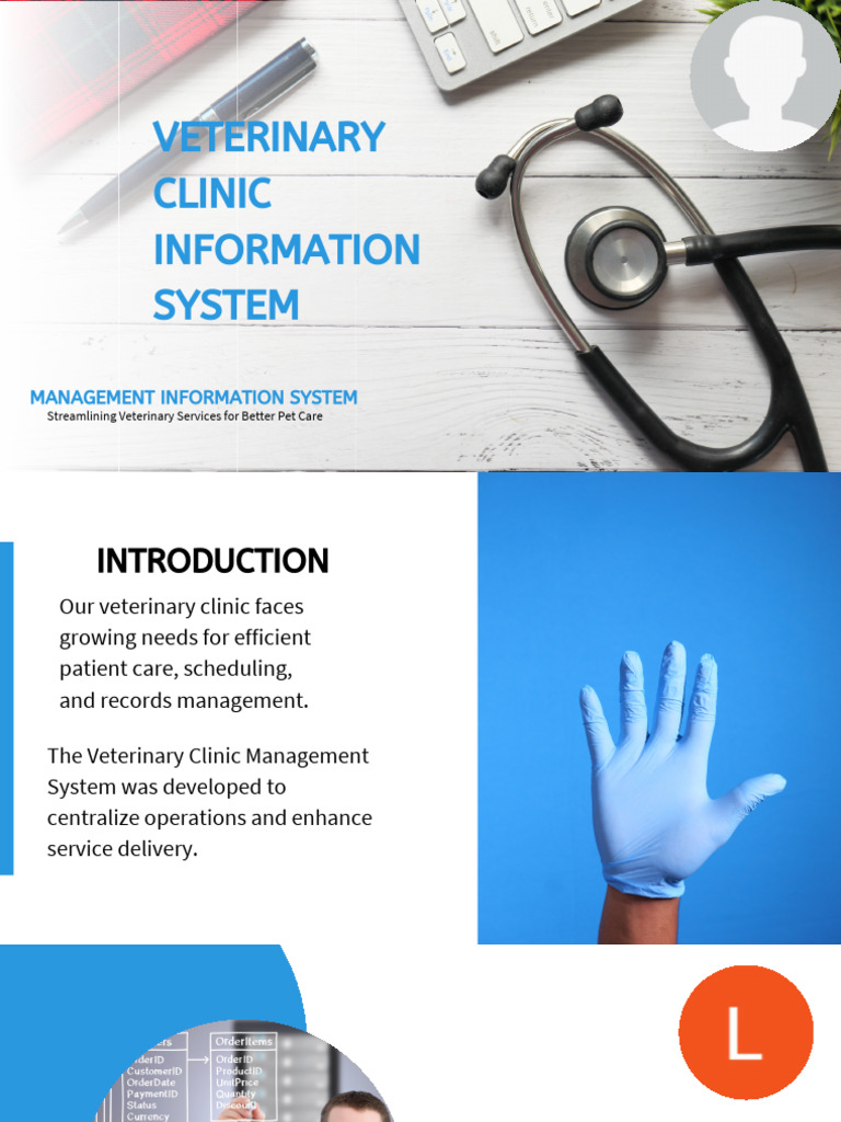 Veterinary Clinic Management System Overview | PDF