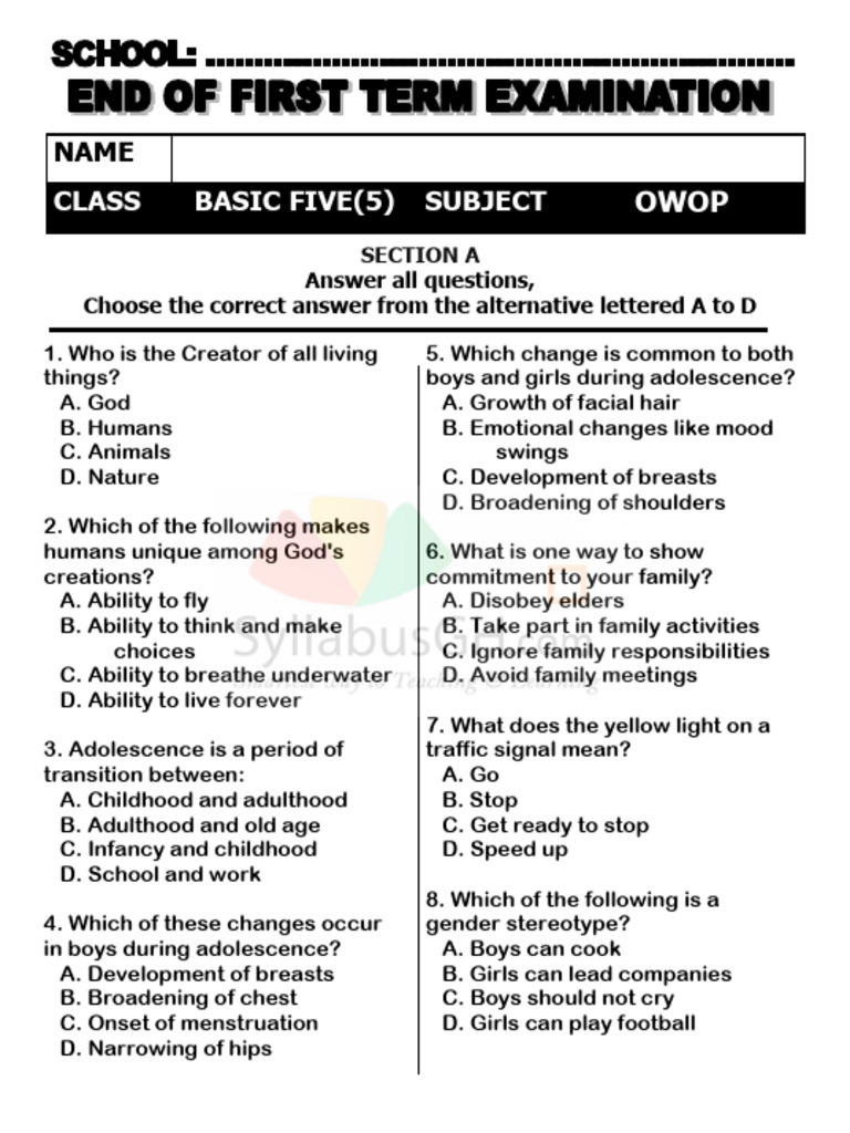 OWOP Basic Five Quiz Questions | PDF | Adolescence | Gender