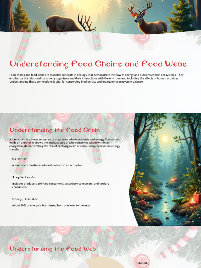 Understanding Food Chains And... | PDF | Food Web | Ecosystem