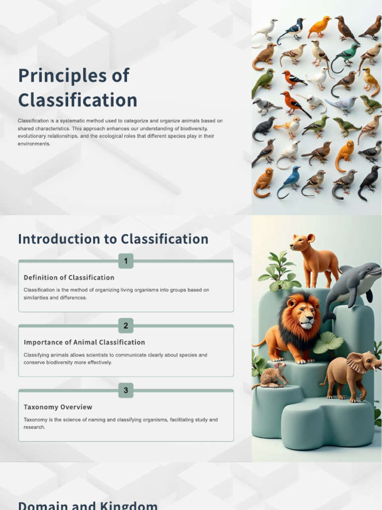 Principles of Classification | PDF | Species | Conservation Biology
