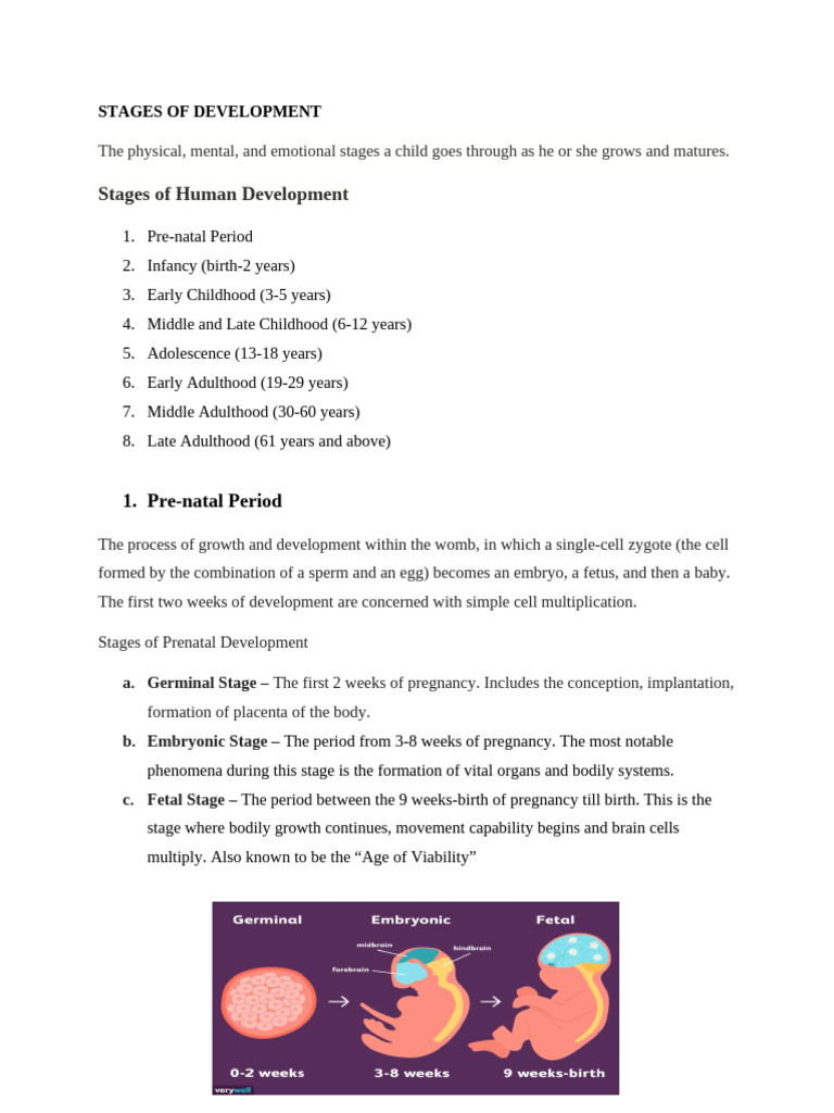 Child Development Stages Explained | PDF | Prenatal Development | Human ...