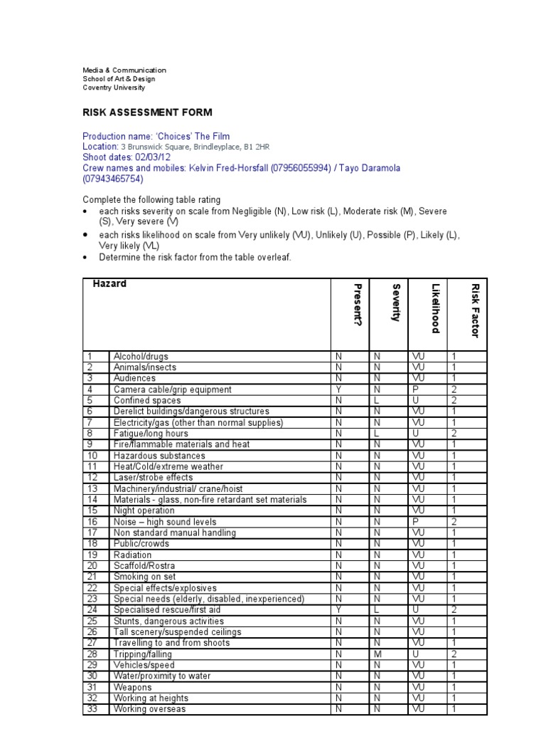 Birmingham Risk Assessment | PDF | Risk | Prevention