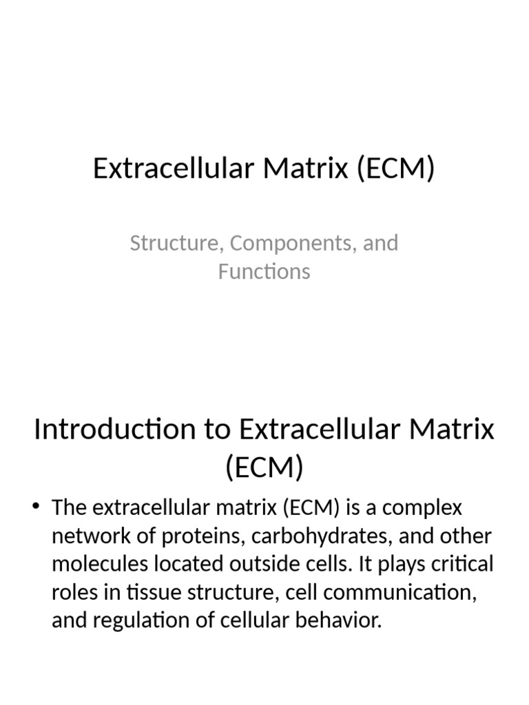 Extracellular Matrix Presentation | PDF