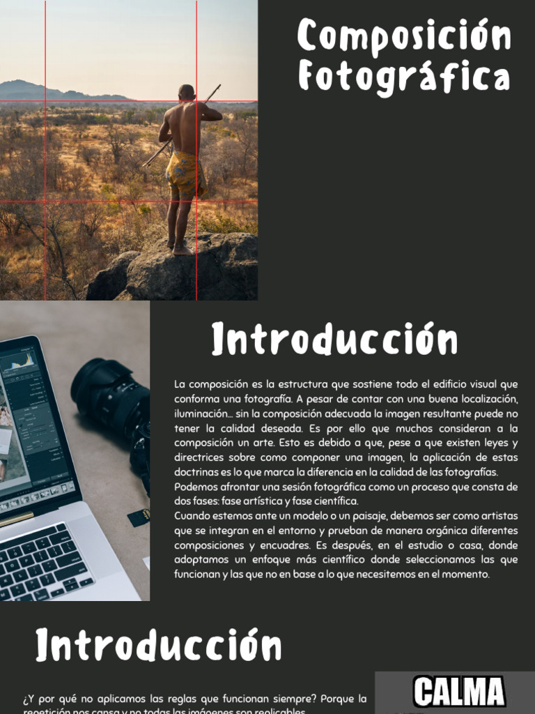 Composición Fotográfica: Claves Esenciales | PDF | Composición (artes ...